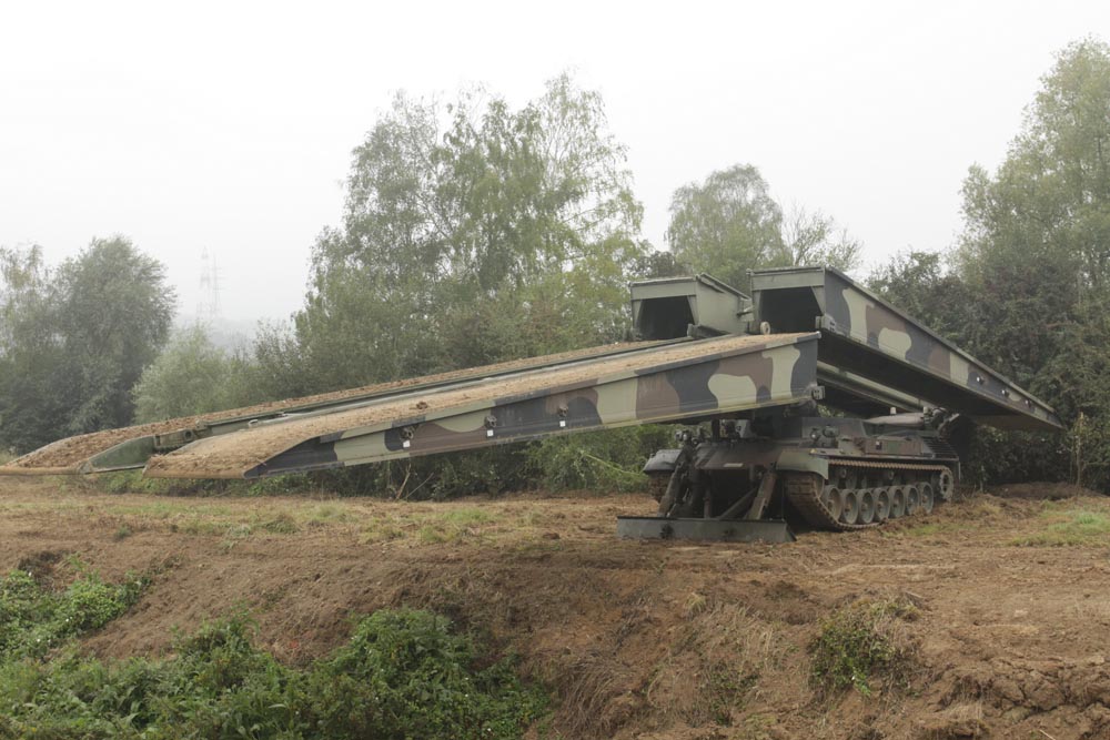 Leopard Club : Leguan
